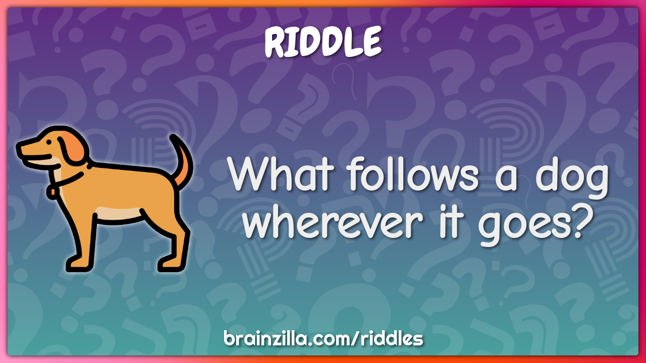 What Follows A Dog Wherever It Goes Riddle Answer Brainzilla What Follows A Dog Wherever It Goes Riddle Answer Brainzilla